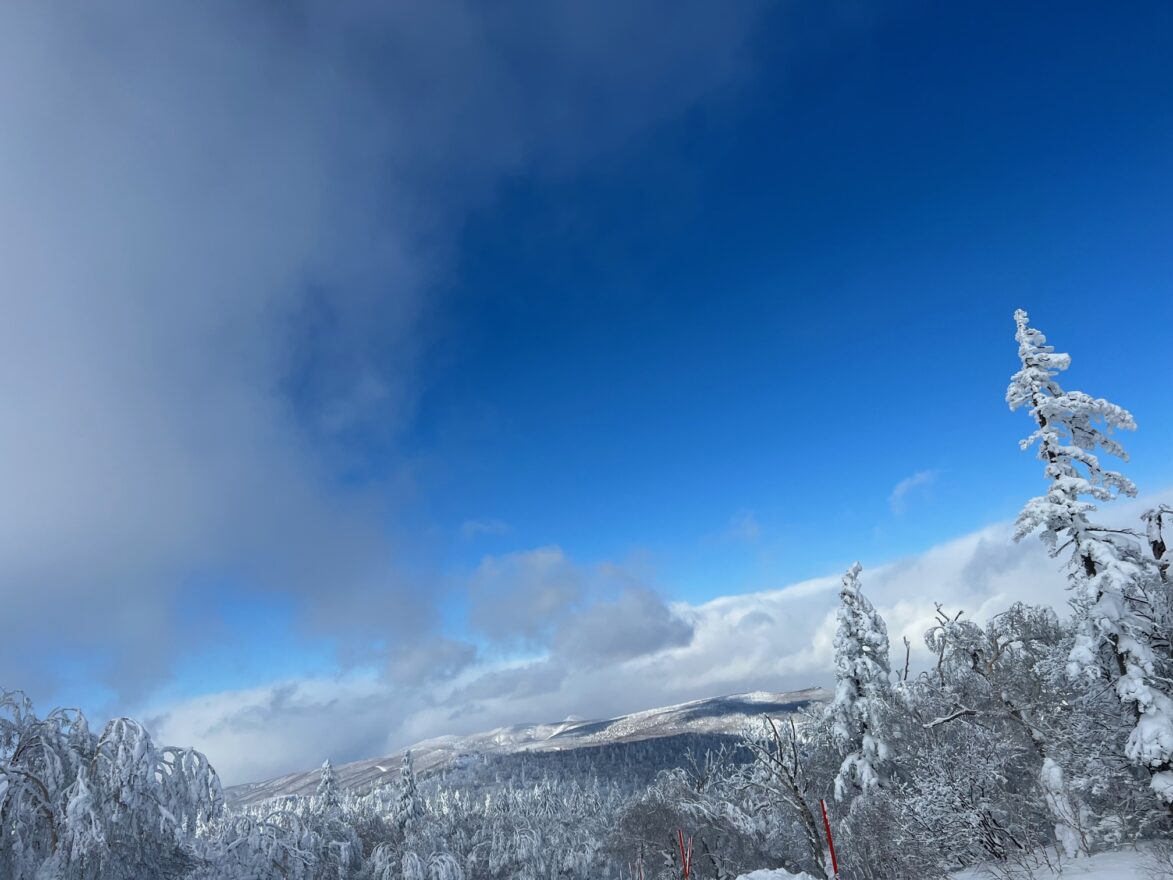 祝 2023年 – Neuf / RISE (Third Technology)